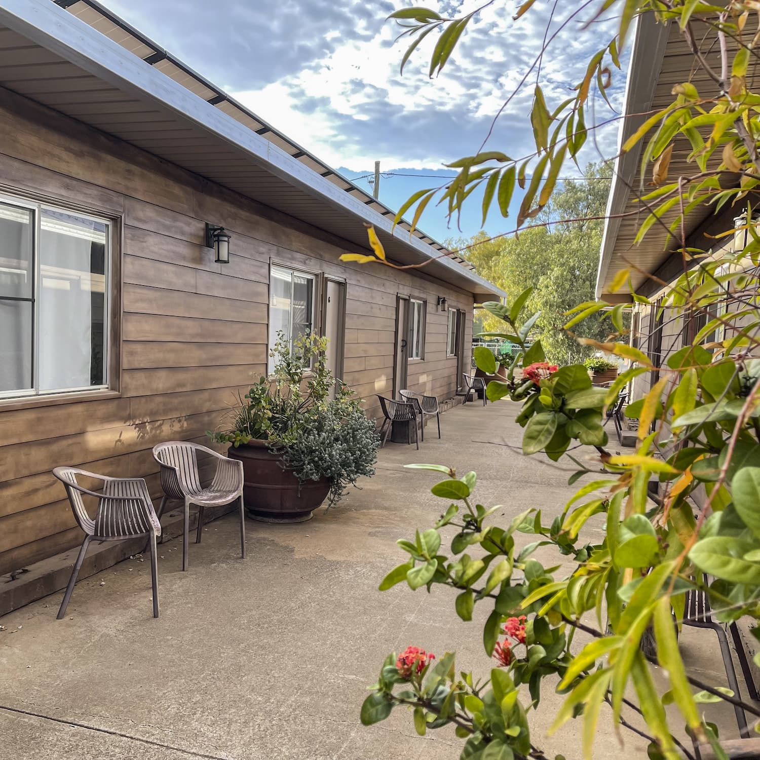 The Coach Inn - Outback Pioneers